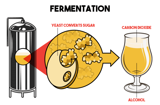 Kit Brewing 101: Temperature Control - Home Brew Republic